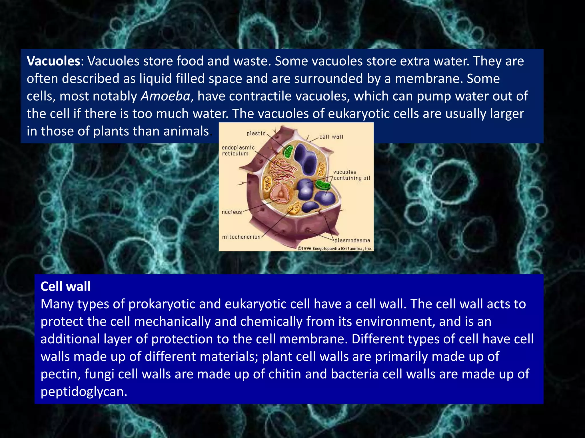 Cell structure and function | PPTX