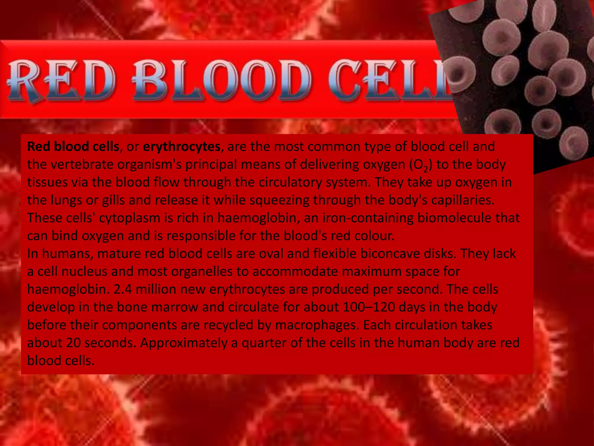 Cell structure and function | PPTX