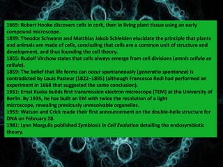 Cell structure and function | PPTX | Biological Sciences | Science
