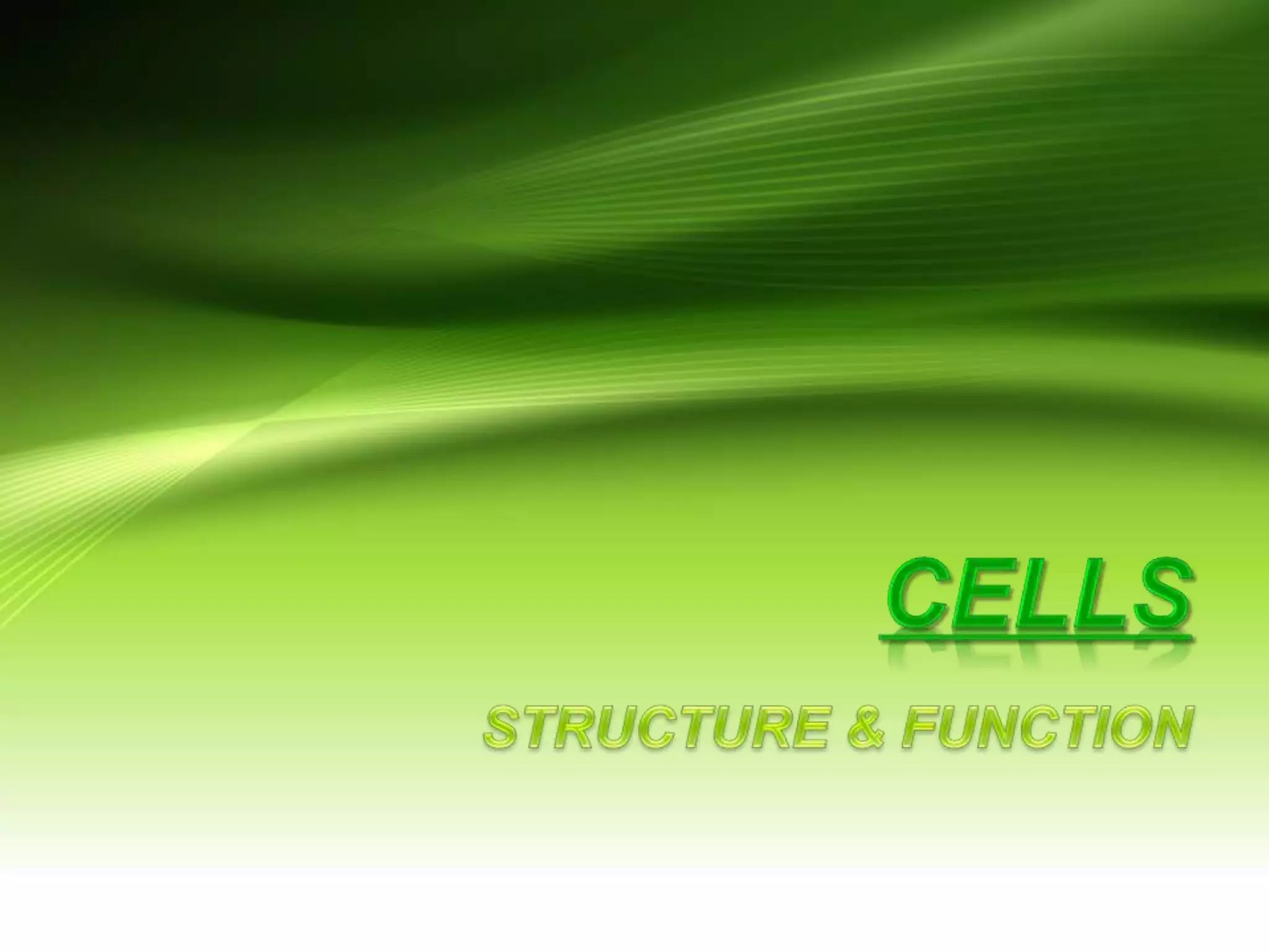 Cell structure and function | PPT