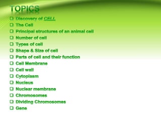 Cell structure and function | PPT