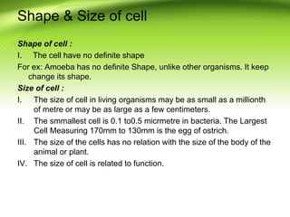 Cell structure and function | PPT