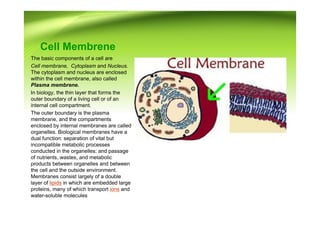 Cell structure and function.pdfx