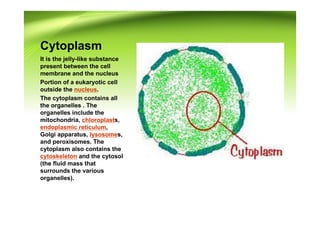 Cell structure and function.pdfx