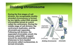 Cell structure and function.pdfx