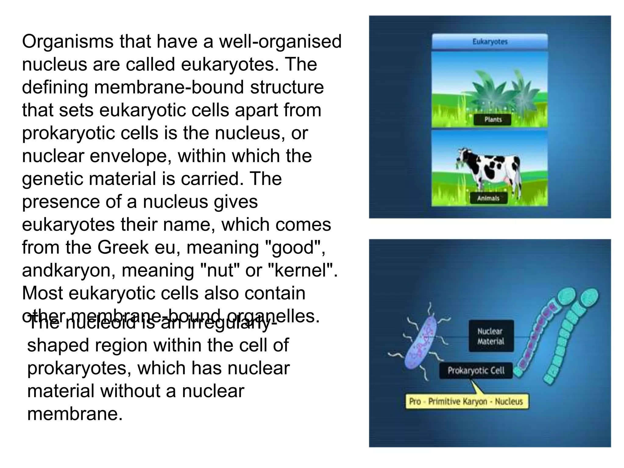 Cell structure and function for class 8 | PPTX