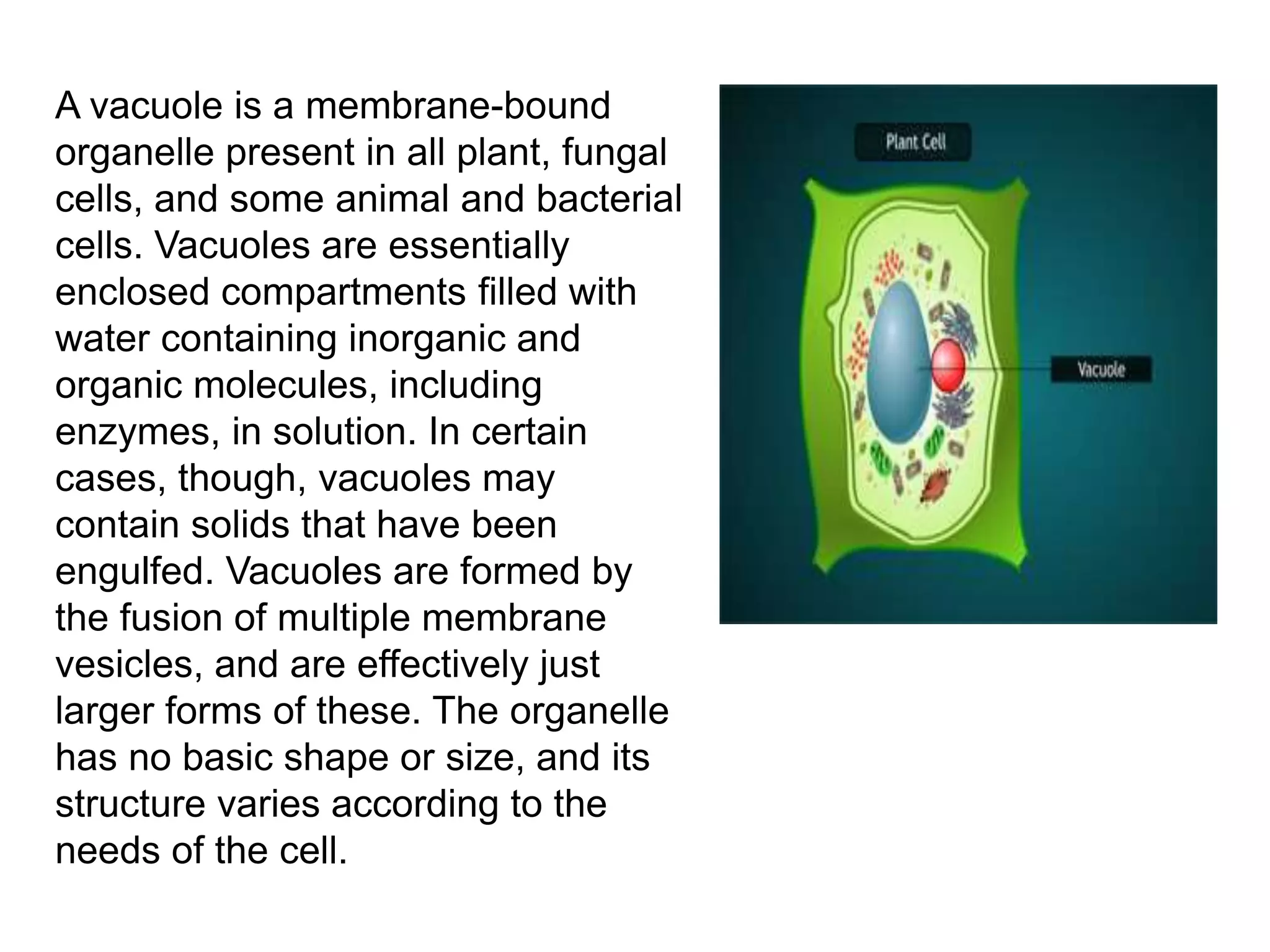 Cell structure and function for class 8 | PPTX