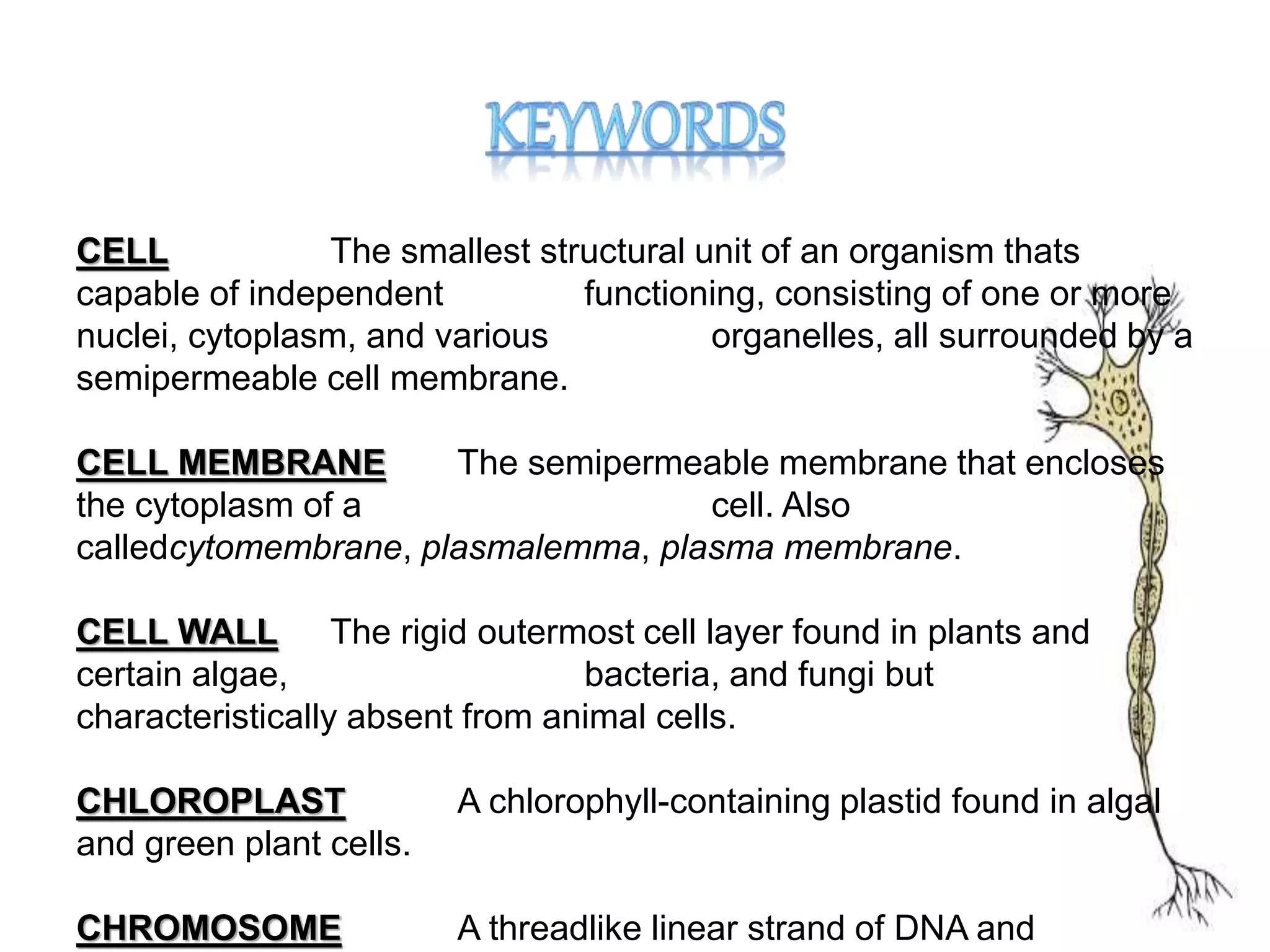 Cell structure and function for class 8 | PPTX