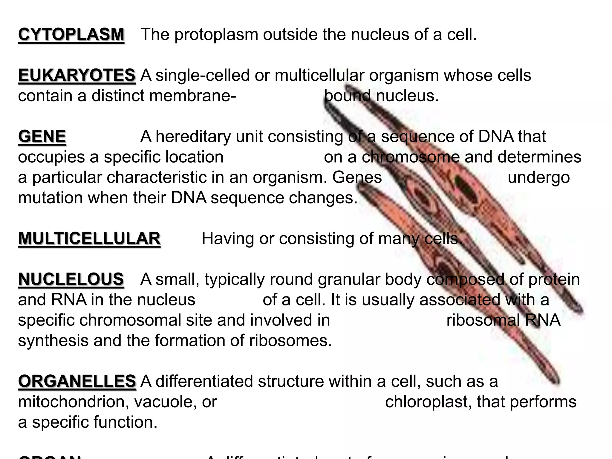 Cell structure and function for class 8 | PPTX