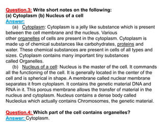 Cell structure and function for class 8 | PPTX