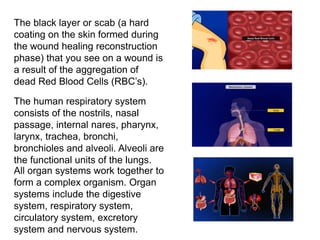 Cell structure and function for class 8 | PPTX