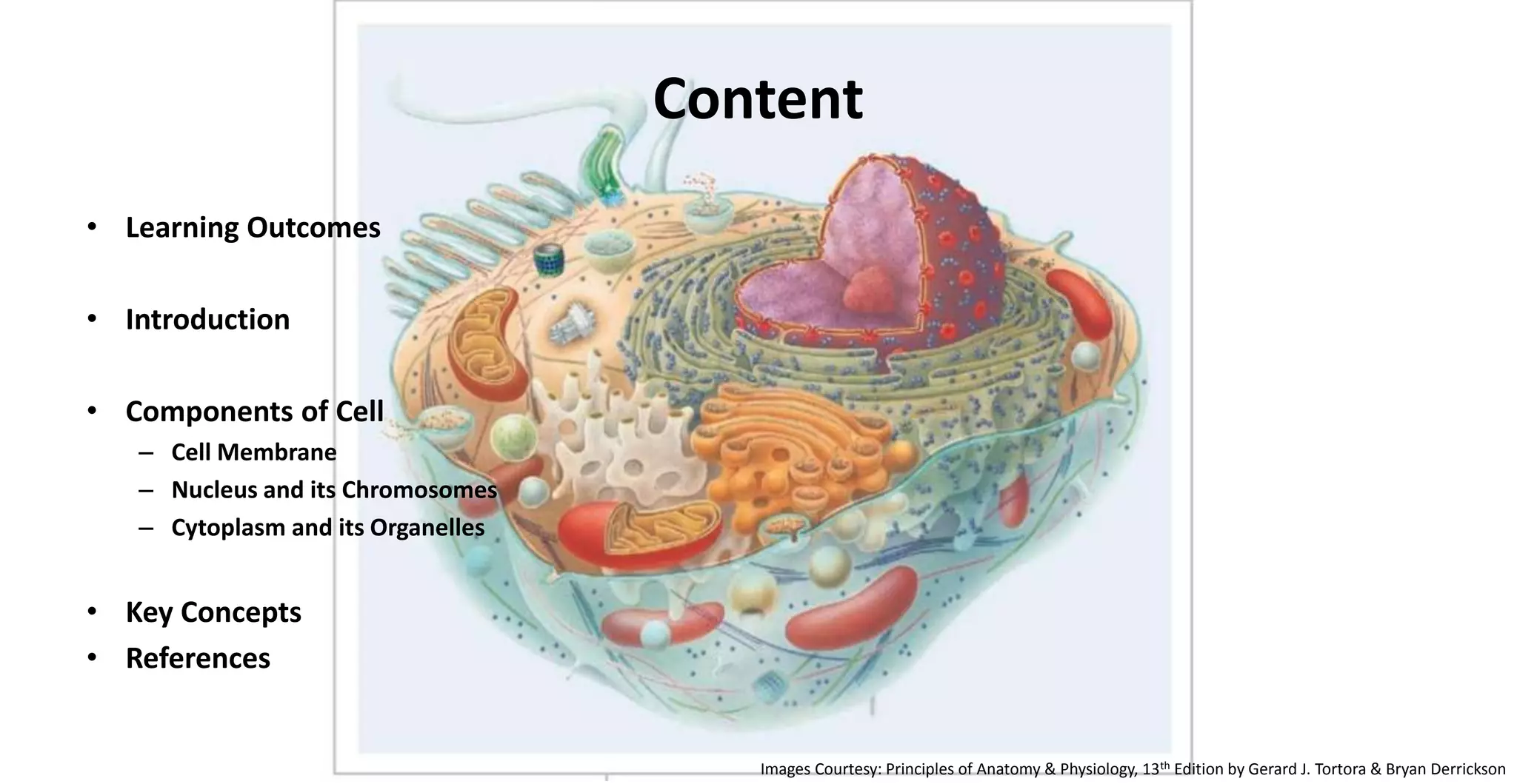 Cell structure and function | PPTX