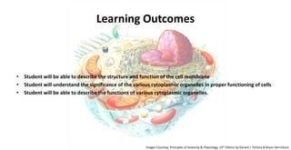 Cell structure and function | PPTX