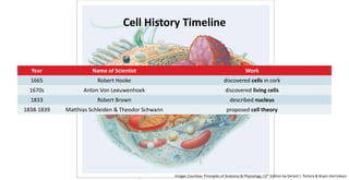 Cell structure and function | PPTX