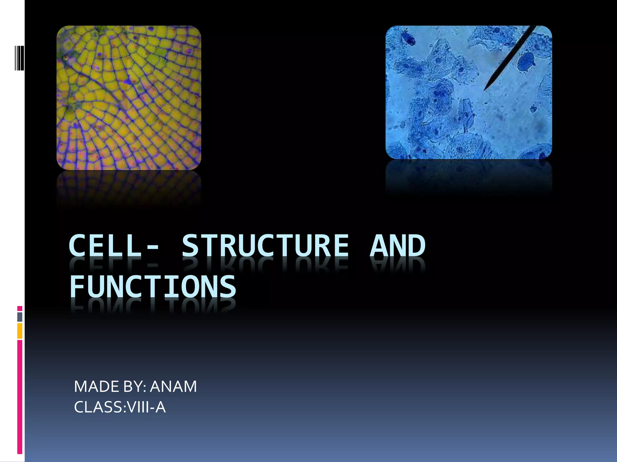 Cell - structure and functions | PPTX | Biological Sciences | Science