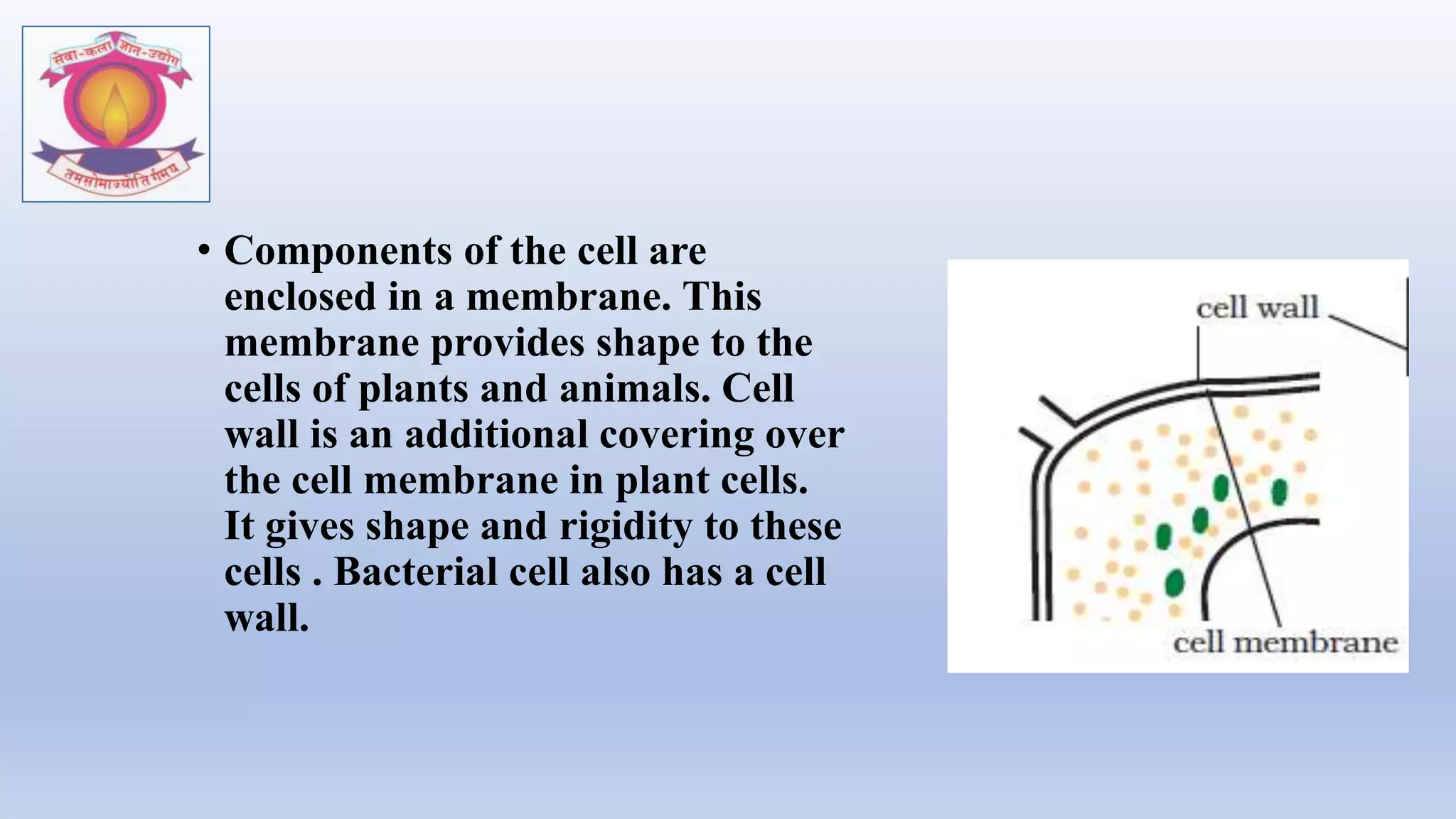 CELL -STRUCTURE AND FUNCTIONS.pptx