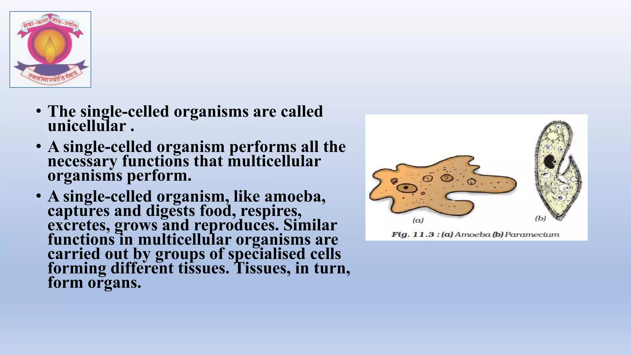 CELL -STRUCTURE AND FUNCTIONS.pptx
