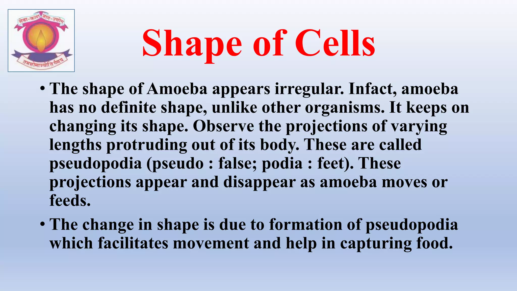 CELL -STRUCTURE AND FUNCTIONS.pptx