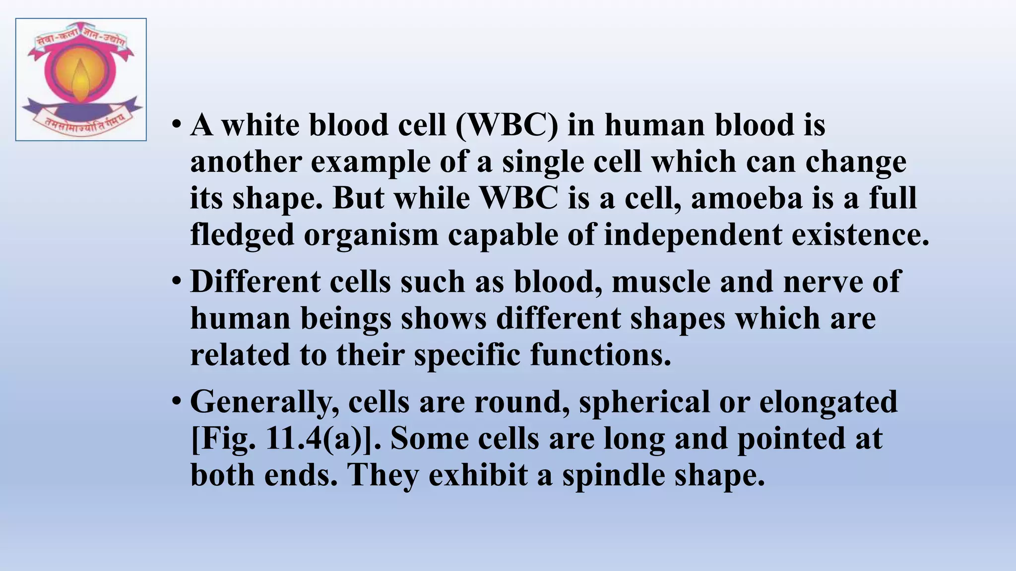CELL -STRUCTURE AND FUNCTIONS.pptx