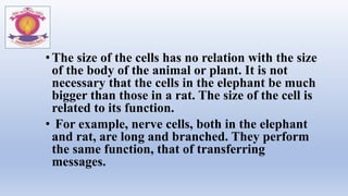 CELL -STRUCTURE AND FUNCTIONS.pptx