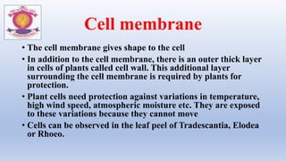 CELL -STRUCTURE AND FUNCTIONS.pptx