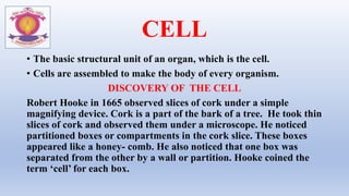 CELL -STRUCTURE AND FUNCTIONS.pptx