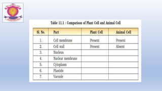 CELL -STRUCTURE AND FUNCTIONS.pptx