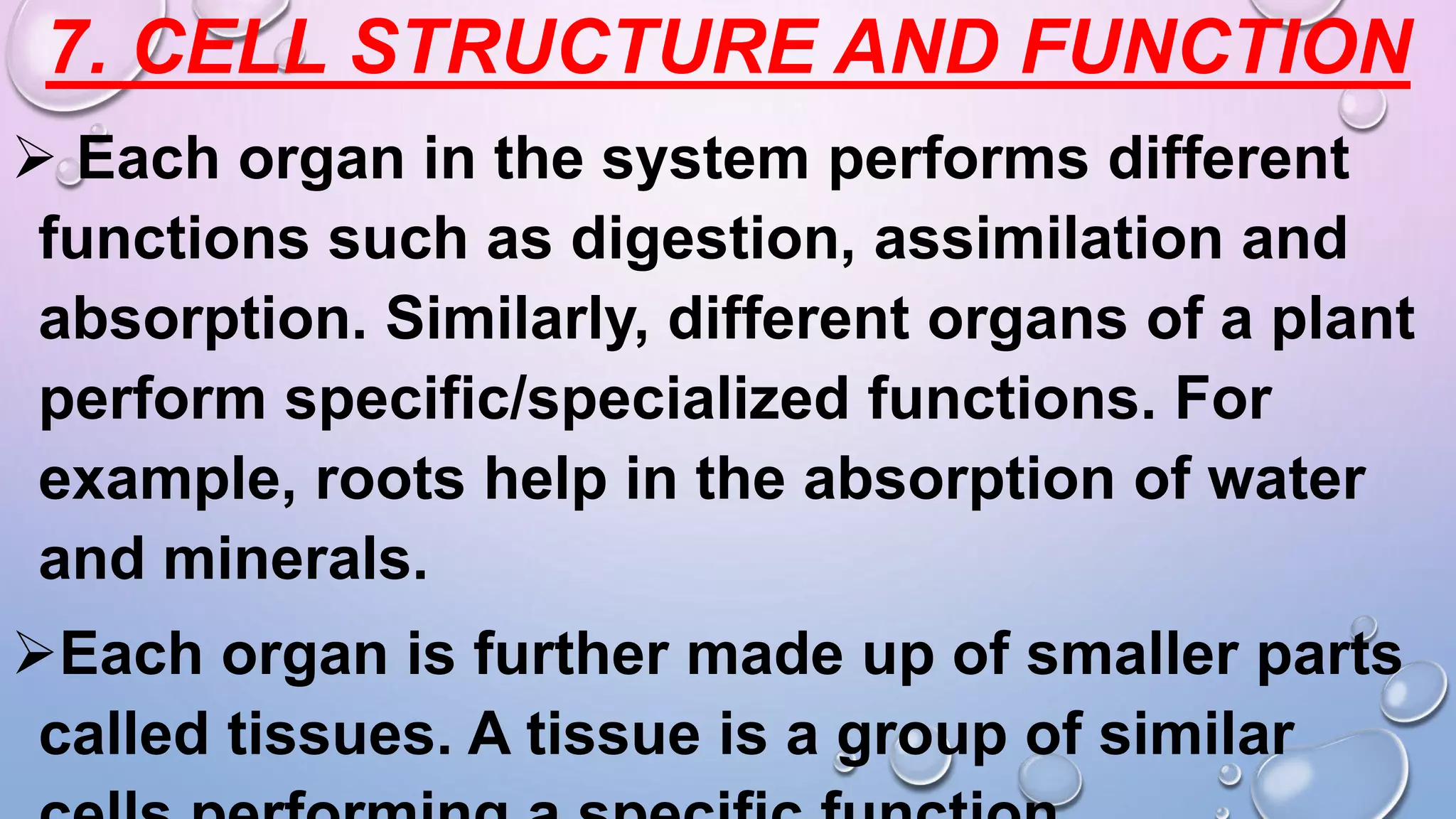 Class 8 ncert science chapter Cell structure and functions by Gaurav ...