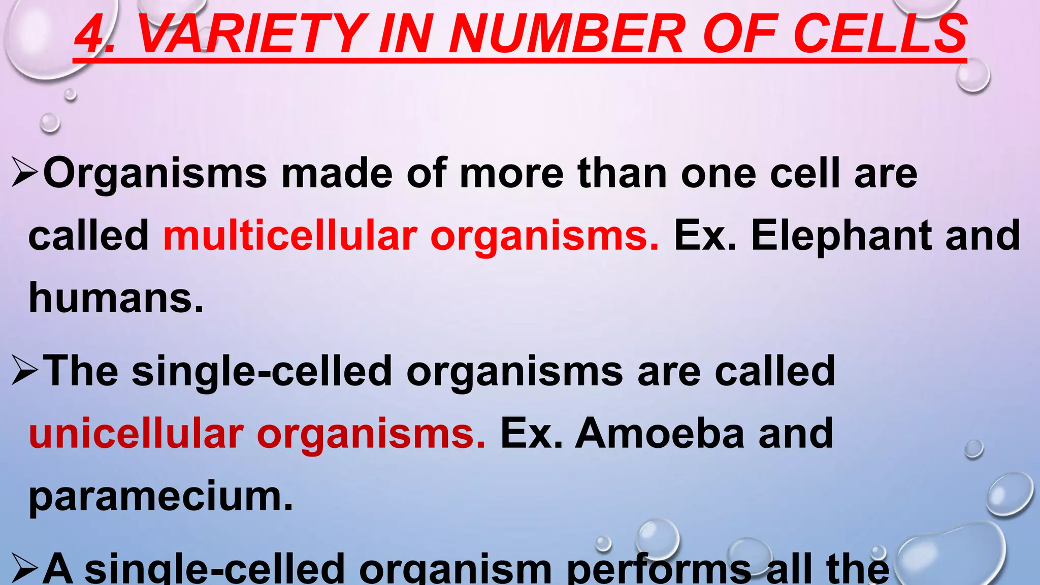 Class 8 Ncert Science Chapter Cell Structure And Functions By Gaurav