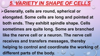 Class 8 ncert science chapter Cell structure and functions by Gaurav ...