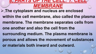 Class 8 ncert science chapter Cell structure and functions by Gaurav ...