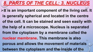 Class 8 ncert science chapter Cell structure and functions by Gaurav ...