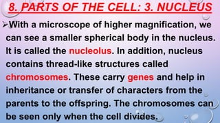 Class 8 ncert science chapter Cell structure and functions by Gaurav ...
