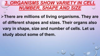 Class 8 ncert science chapter Cell structure and functions by Gaurav ...