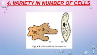 Class 8 ncert science chapter Cell structure and functions by Gaurav ...