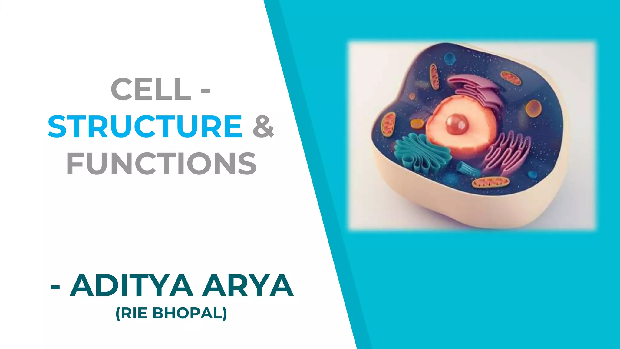 CELL- STRUCTURE AND FUNCTIONS CLASS 8.pptx