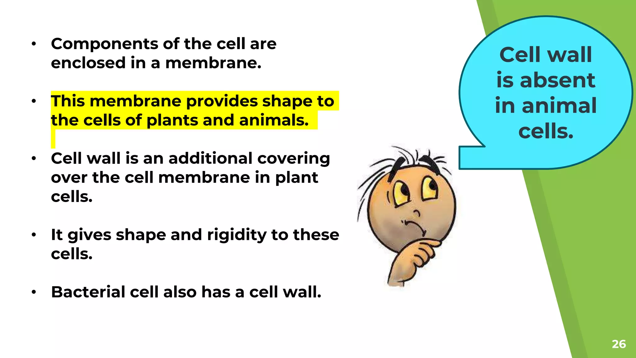 CELL- STRUCTURE AND FUNCTIONS CLASS 8.pptx