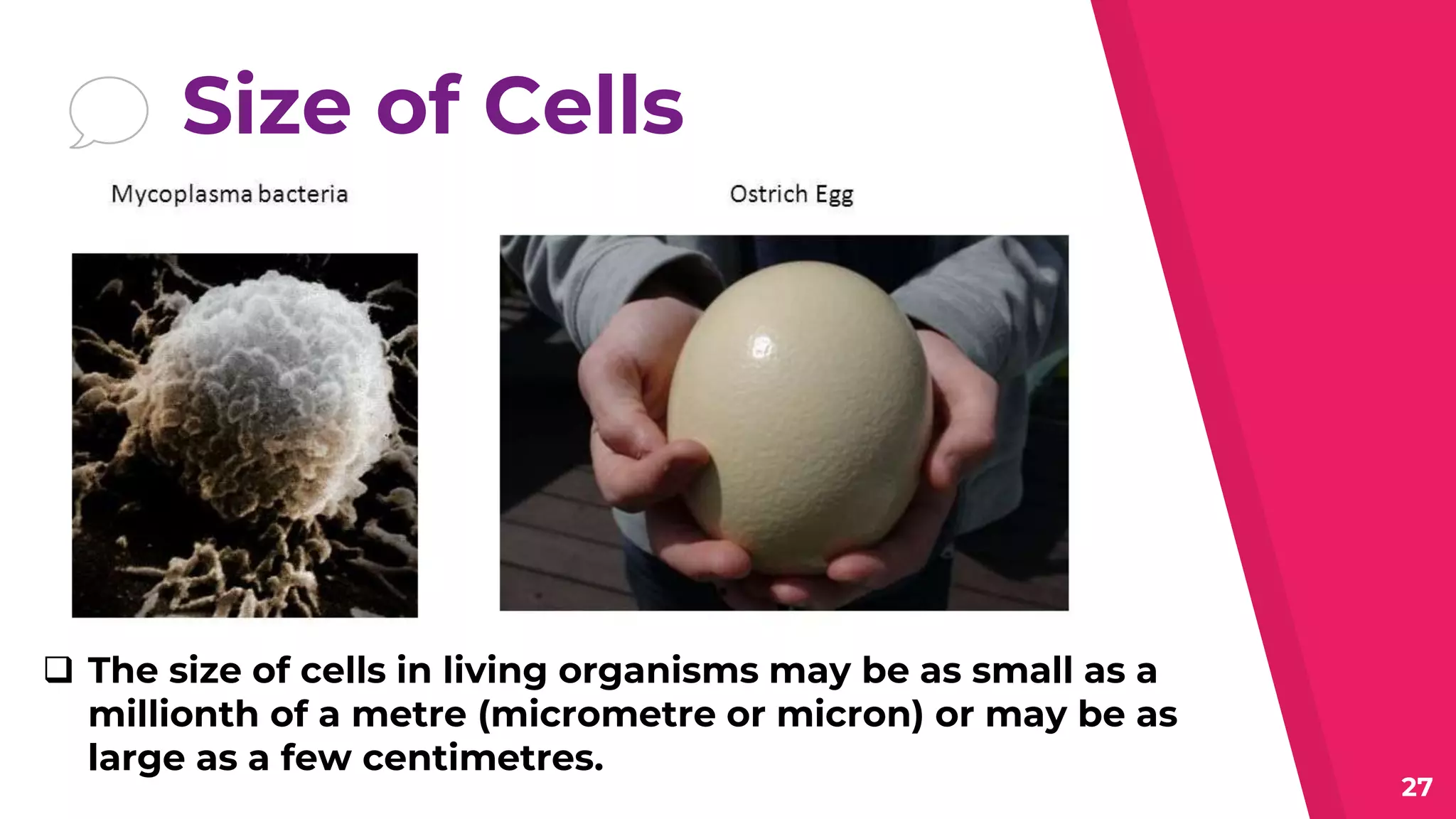 CELL- STRUCTURE AND FUNCTIONS CLASS 8.pptx