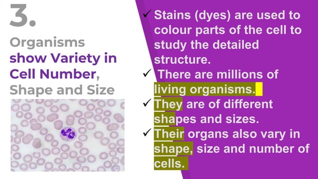 CELL- STRUCTURE AND FUNCTIONS CLASS 8.pptx