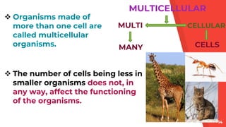 CELL- STRUCTURE AND FUNCTIONS CLASS 8.pptx