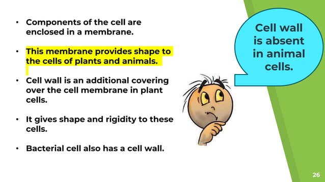 CELL- STRUCTURE AND FUNCTIONS CLASS 8.pptx