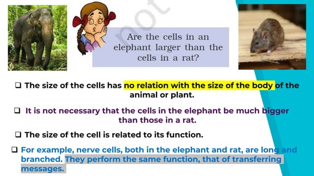 CELL- STRUCTURE AND FUNCTIONS CLASS 8.pptx