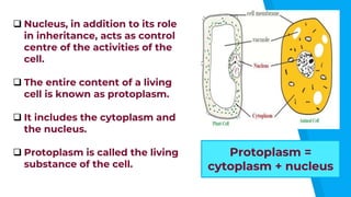 CELL- STRUCTURE AND FUNCTIONS CLASS 8.pptx