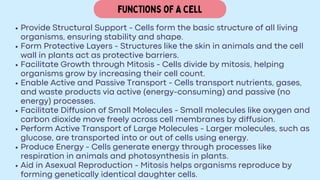 Cell - structure & function, this is a ppt presentation where u can learn about the cell and its ...