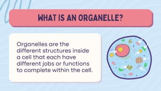 Cell - structure & function, this is a ppt presentation where u can ...