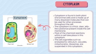 Cell - structure & function, this is a ppt presentation where u can ...
