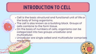 Cell - structure & function, this is a ppt presentation where u can ...