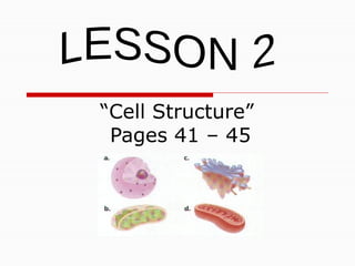 Cell-structures-lesson2.pptx Cellllllllll | PPT