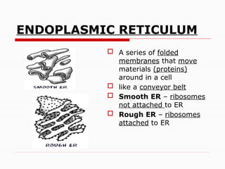 Cell-structures-lesson2.pptx Cellllllllll | PPT