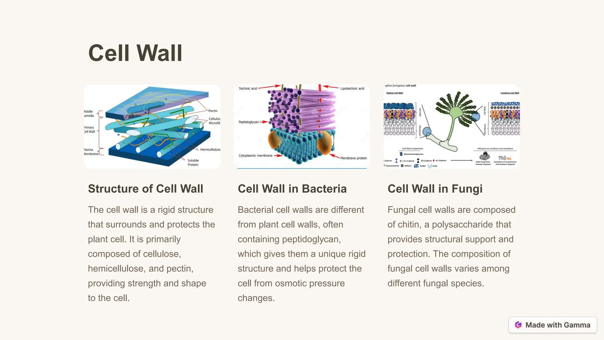 Cell-The-Fundamental-Unit-of-Life..(Basic coverage) | PPTX